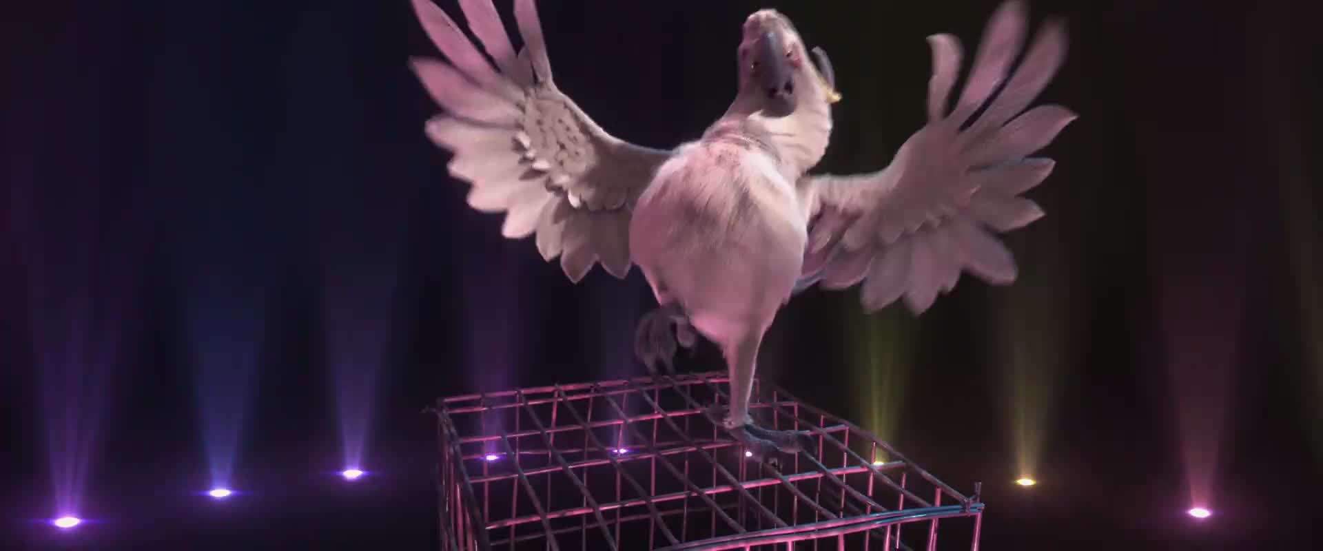 $300 GUARANTEED 2v2 NOV AM CONSOLE ONLY SND BEST OF 1 - Call of Duty ...